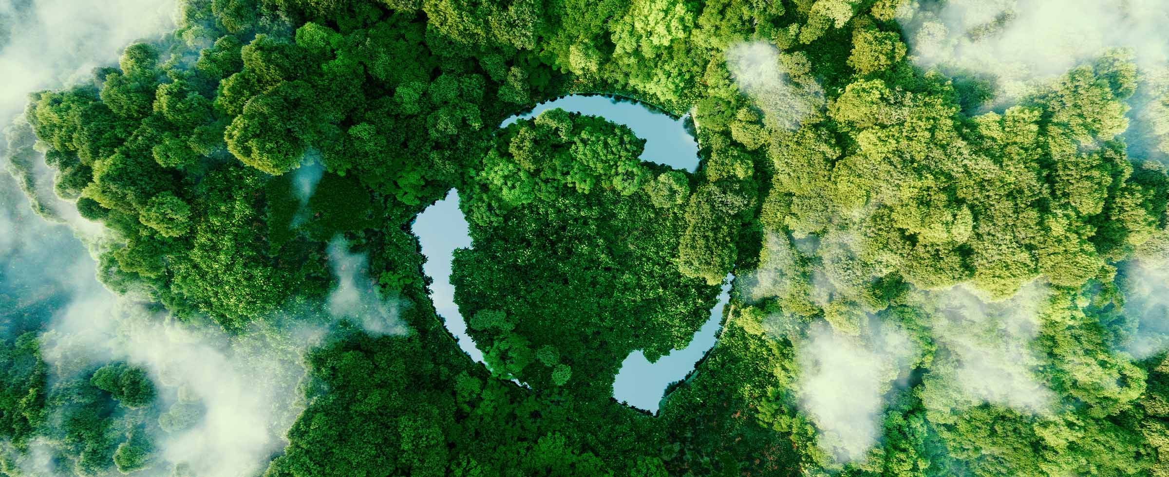 Sustainability - KFC